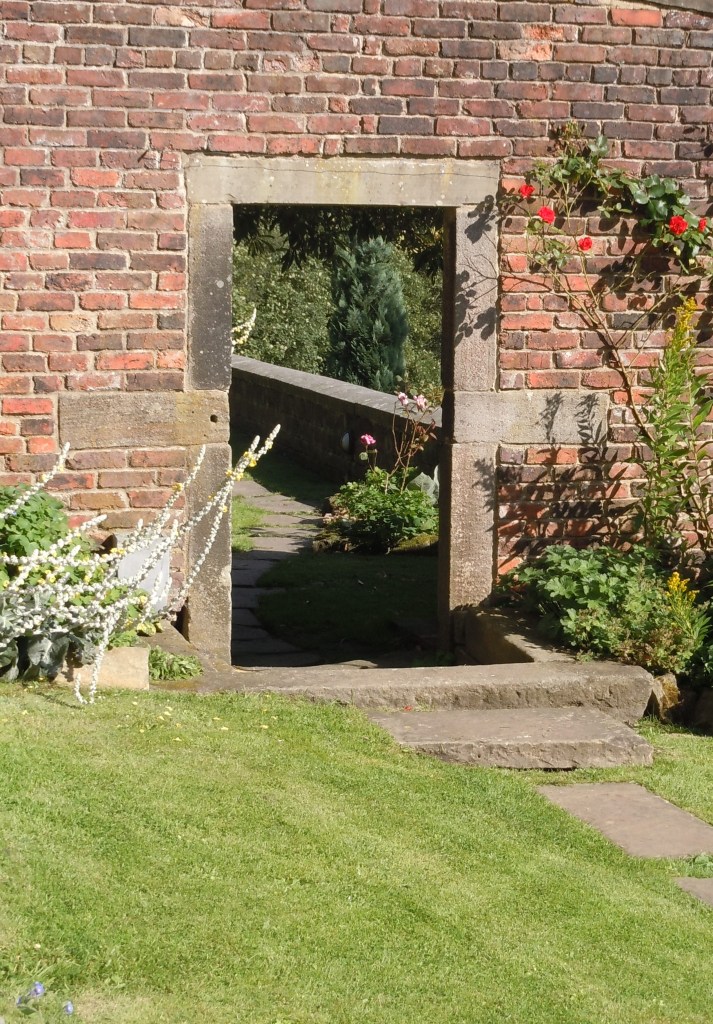 The Mysterious Door – Alison Mott